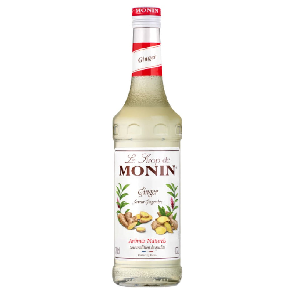 MONIN Ginger Syrup — Farsonsdirect Malta